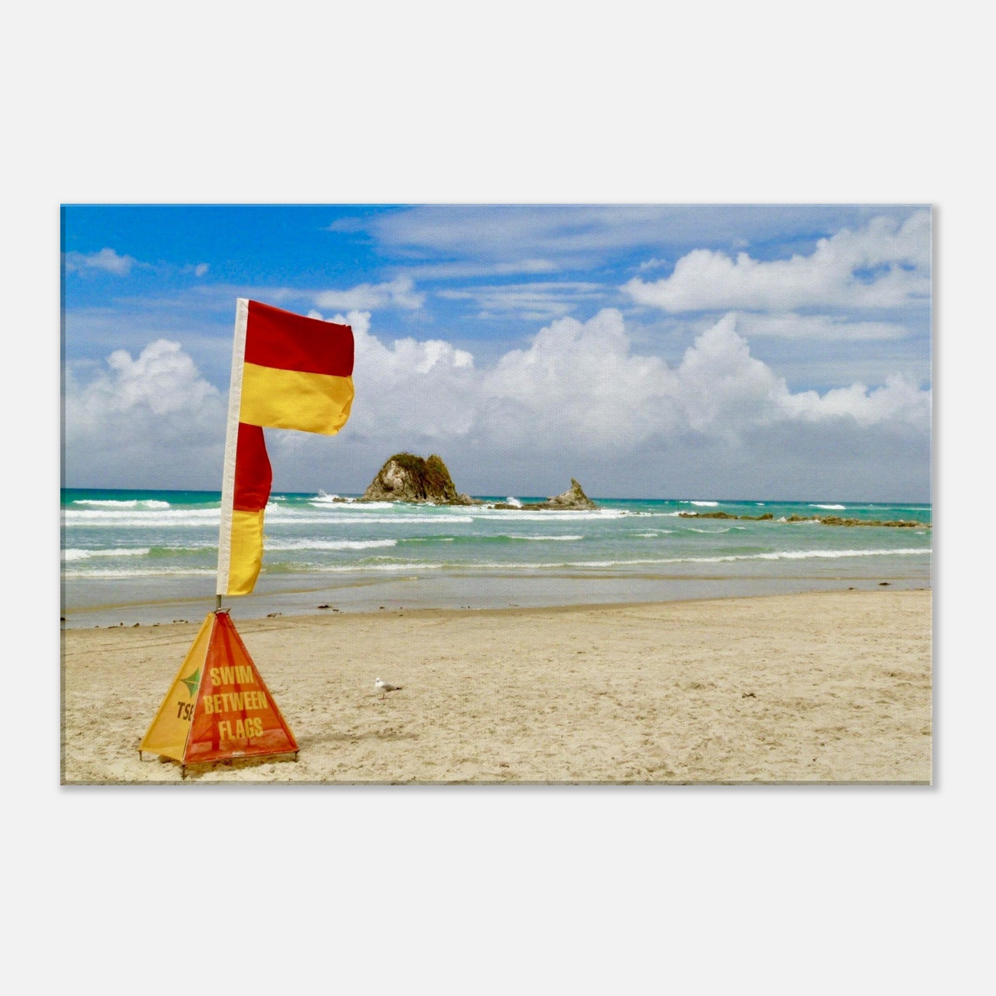 Swim Between Flags Canvas – Piwaka Prints